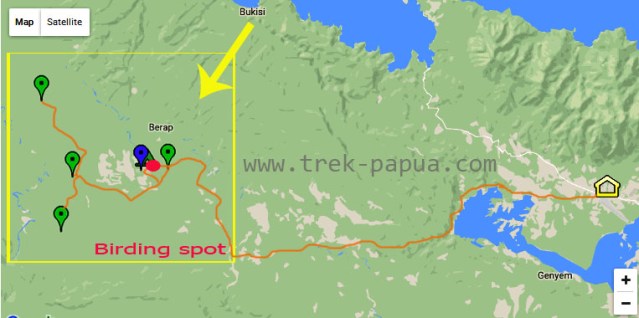 Nimbokrang-For Birders – Trek-Papua