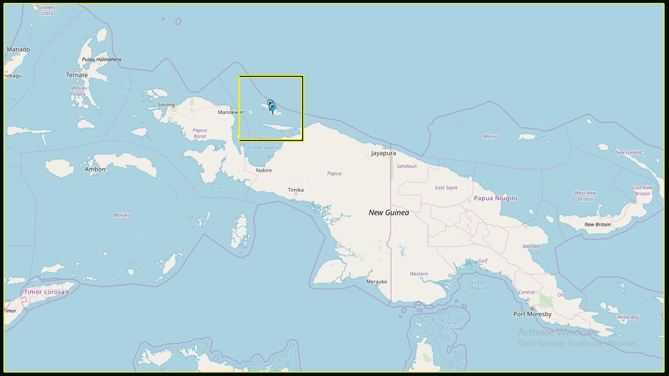 iak birding.Biak Endemics Biak Scrubfowl, Biak Coucal, Biak Scops Owl ...