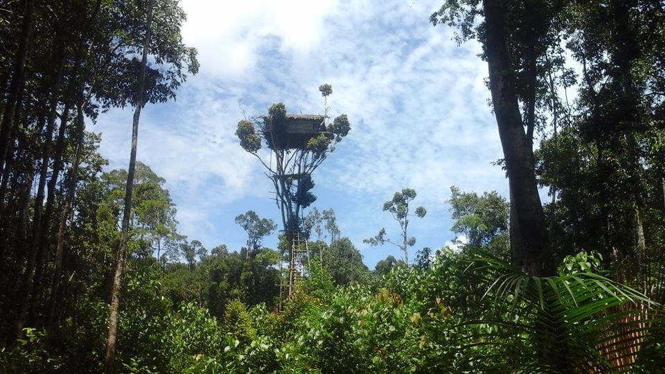 kombai tour – Trek-Papua