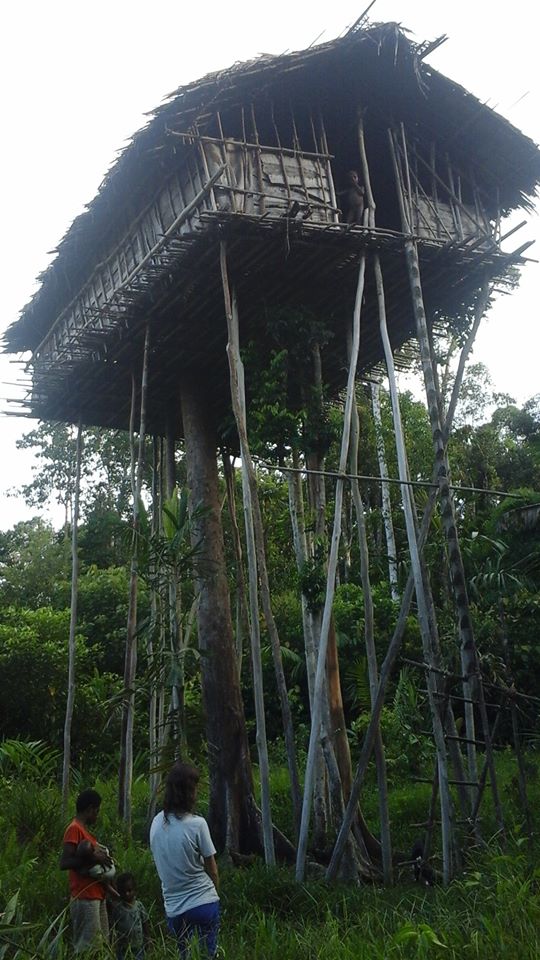 travel to korowai – Trek-Papua