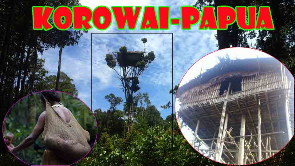 trip korowai tribe-rock korowai-papua – Trek-Papua