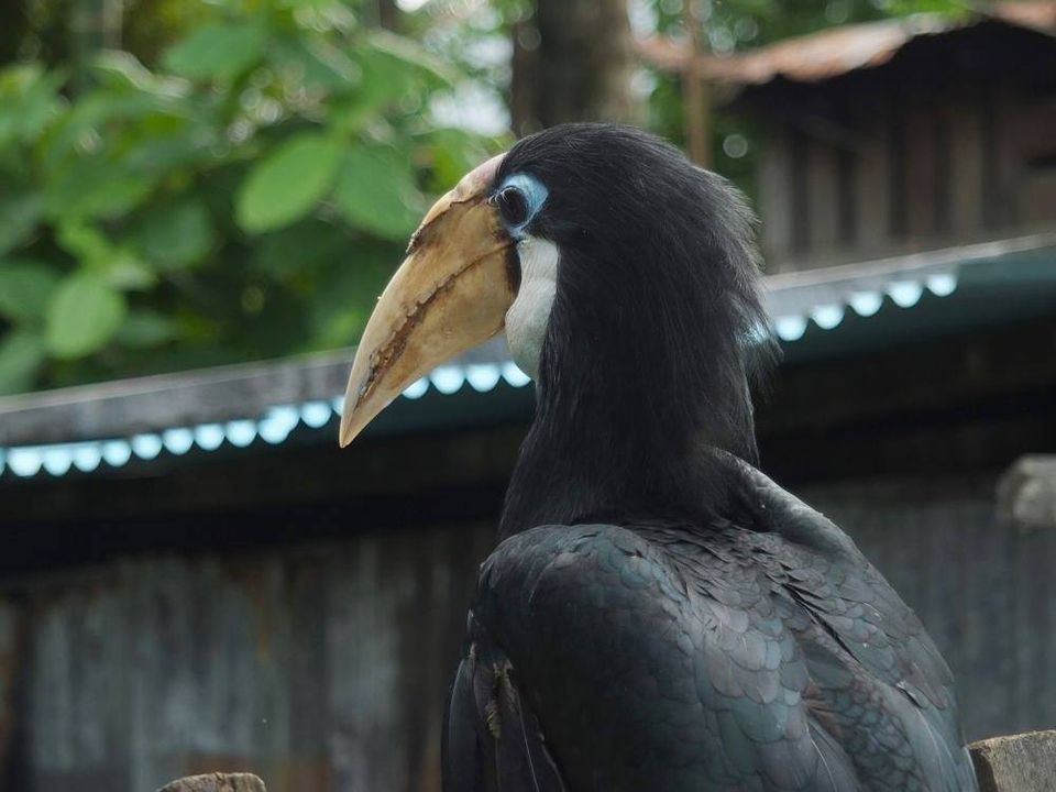 Eco Land Management Project – Trek-Papua