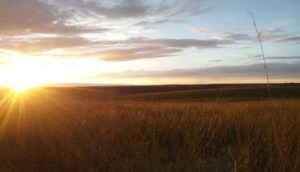 Fak Fak Tourism – Trek-Papua