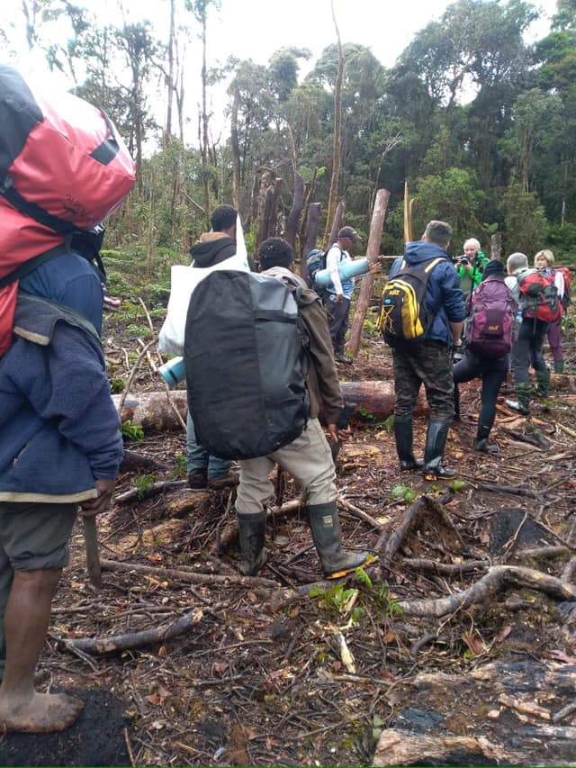 Mt.Giluwe-Volcano Peak-PNG | Trek-Papua