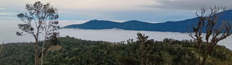 Arfak Wildlife Reserve – Trek-Papua