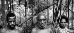 Indigenous Tribe, The Korowai – Trek-Papua