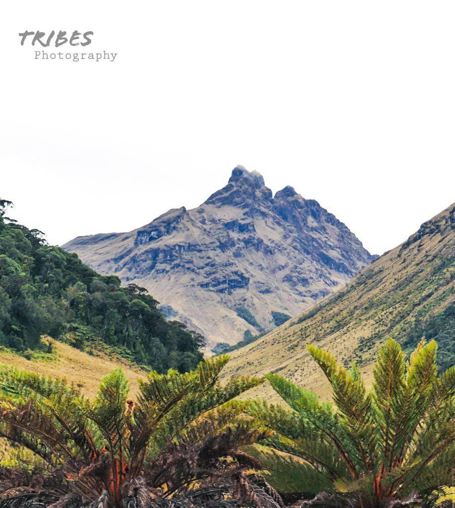 Giluwe Treks_PNG | Trek-Papua