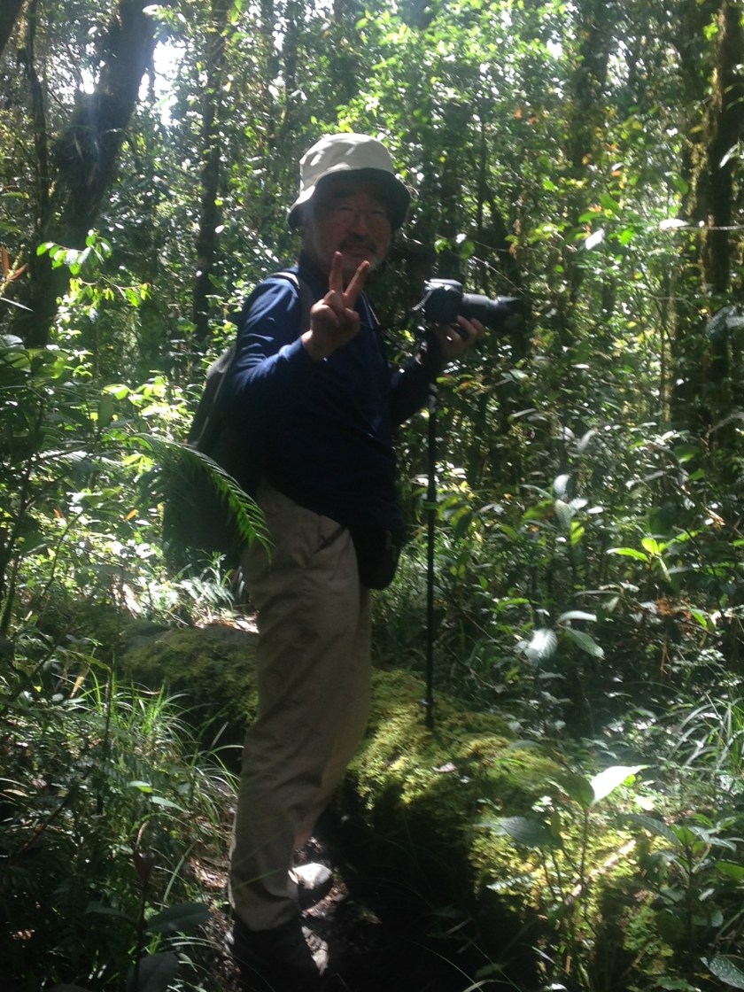 Wasior Birding Tours – Trek-Papua