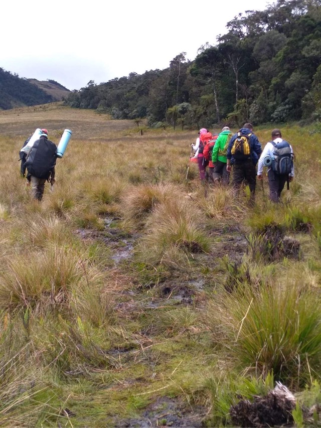 Giluwe Treks|WHP| PNG – Trek-Papua